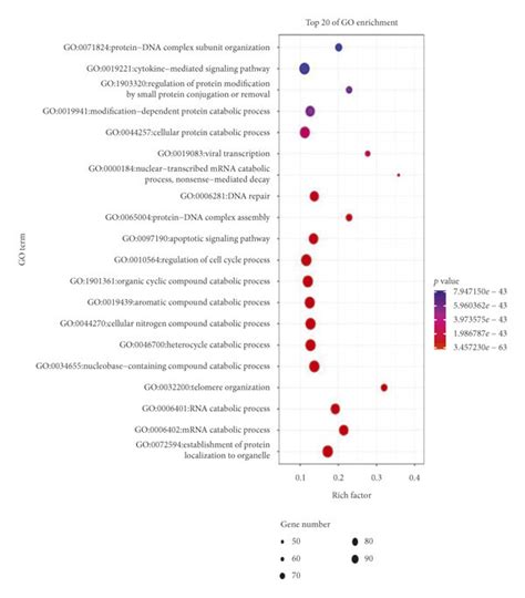Go Function Enrichment Analysis And Enrichment Analysis Of Kegg