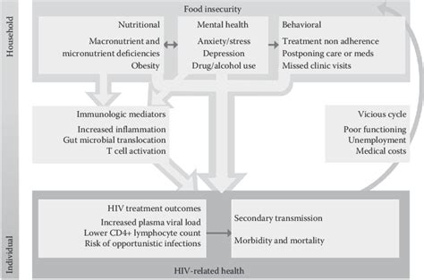 4 Food Insecurity And Hiv Related Health Download Scientific Diagram