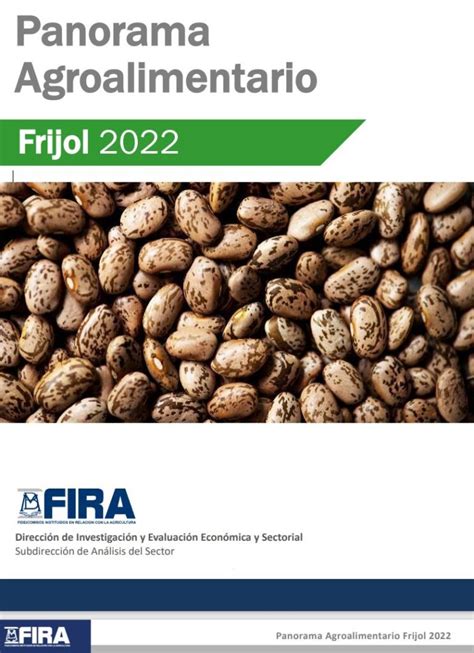 Panorama Agroalimentario Frijol 2022 Fidesur