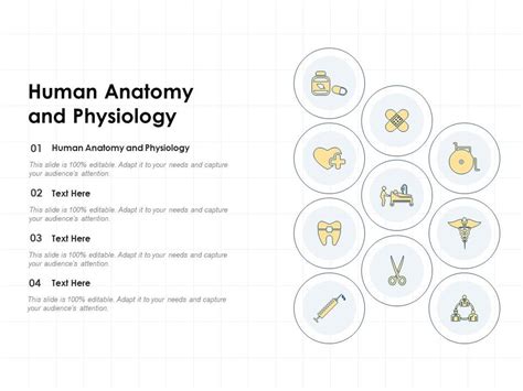 Human Anatomy And Physiology Ppt Powerpoint Presentation Layouts