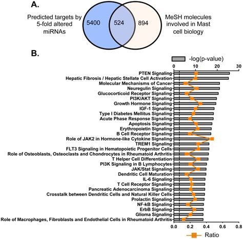 A Target Prediction By Targetscan Database Download Scientific