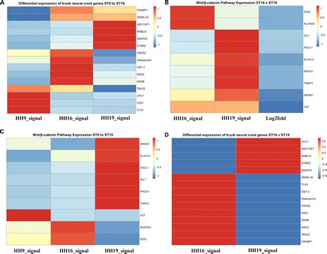 Frontiers Molecular Events Controlling Cessation Of Trunk Neural