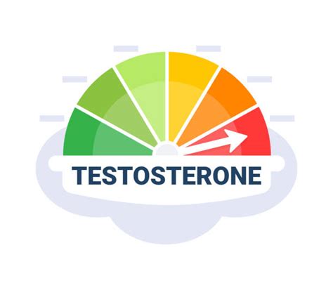 60 Testosterone Level Stock Illustrations Royalty Free Vector