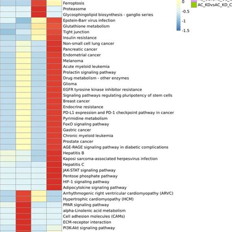 Cluster Analysis Of The Kegg Pathway For Differentially Quantified