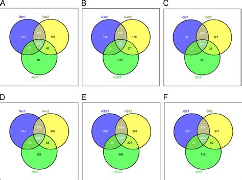 Reproducibility Of Protein And Peptide Identi Fi Cations By Lc Ms Ms