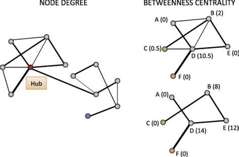 graphical representation of node degree and betweenness centrality on