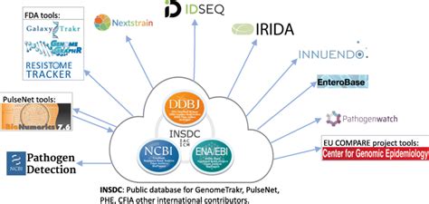 Insdc Hub Showing How Genomic Data In Public Databases Get Analyzed By