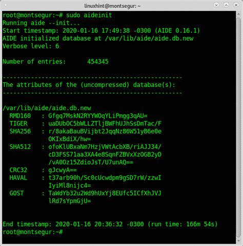 setup and configure debian linux install advanced intrusion detection