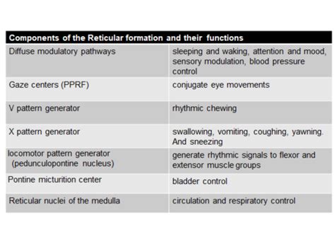 The Reticular Formation And Diffuse Neuromodulatory Systems Flashcards