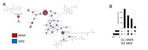 A An Lc Ms Ms Based Molecular Network Of Chemicals From Msx And Mwx