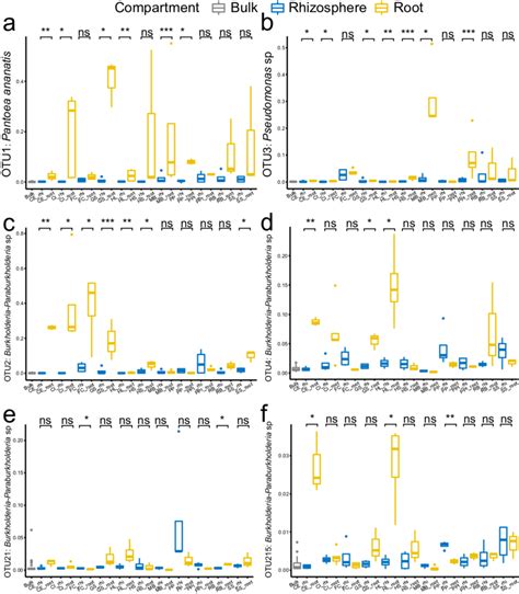 The Comparison Of The Representative Otus Of The Enriched Bacteria
