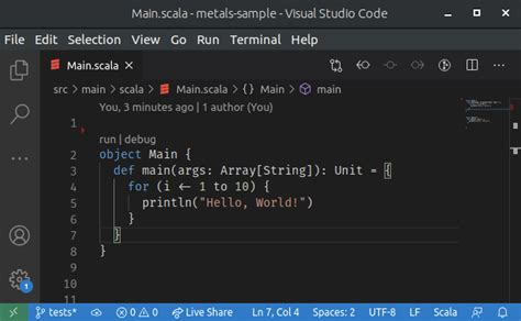 scala how exactly do i use metals and vs code debugger