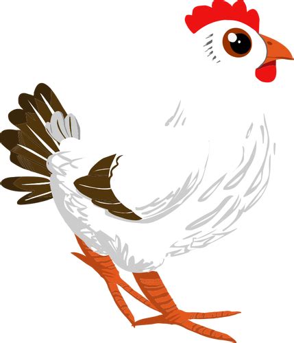 Pollo Blanco Vectores De Dominio Público