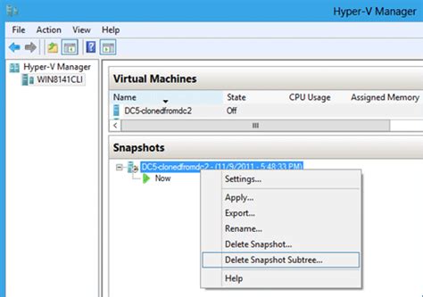 virtualized domain controller deployment and configuration