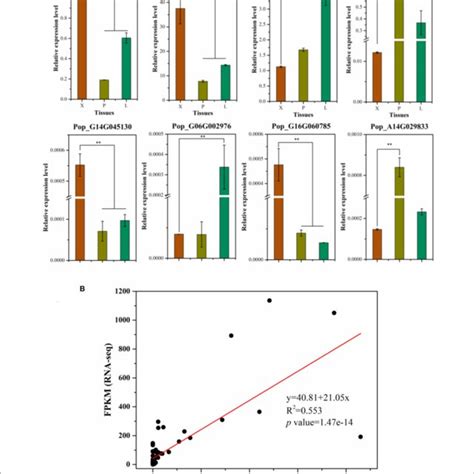 Validation Of Rna Seq Results By Qrt Pcr A The Qrt Pcr Results For