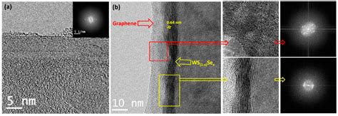 Nanomaterials Free Full Text Ws 1−x Sex Nanoparticles Decorated