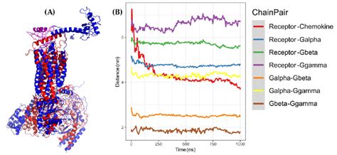 Coarse Grained Molecular Dynamics Cg Md Simulation Of Cxcr3 Cxcl9