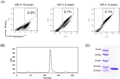 Affinity Maturation Of The Ead By Random Mutagenesis And Yeast Display