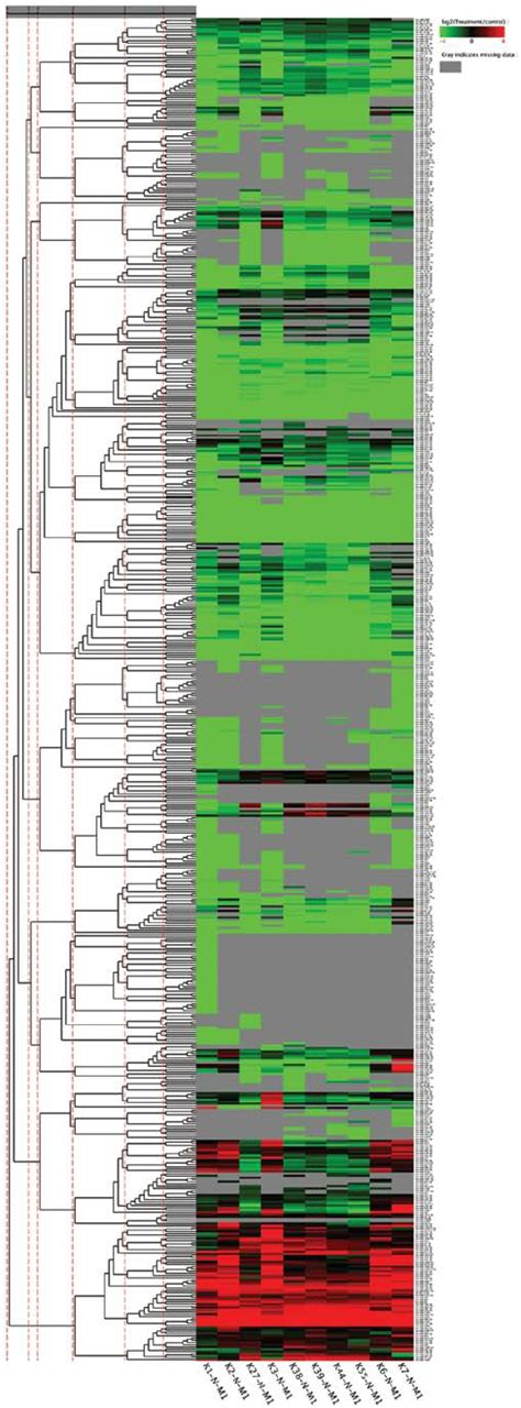 Heat Map Cluster Analysis Of Micrornas Mirnas Each Row In The Figure
