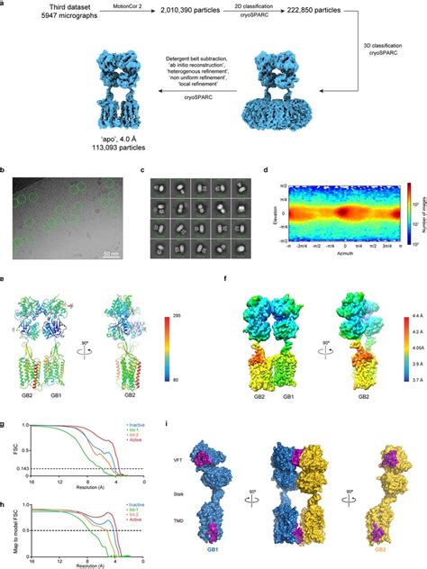 Cryo Em Data Processing For Apo Gabab A Single Particle Cryo Em Data