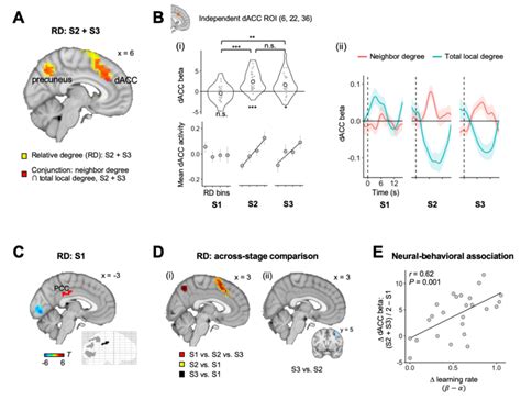 Activity In The Dorsal Anterior Cingulate Cortex Dacc Correlates