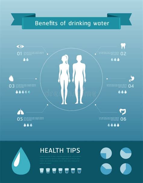 Benefits Drinking Water Stock Illustrations 239 Benefits Drinking