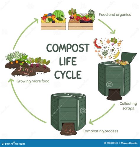 Compost Life Circle Infographic Composting Process Stock Vector