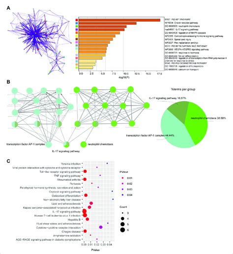 Enrichment Of Differentially Expressed Genes Degs Via A Metascape