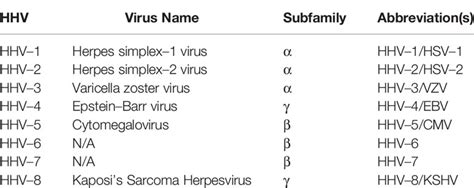 Frontiers Herpes Simplex Virus 1 Infection Of Neuronal And Non