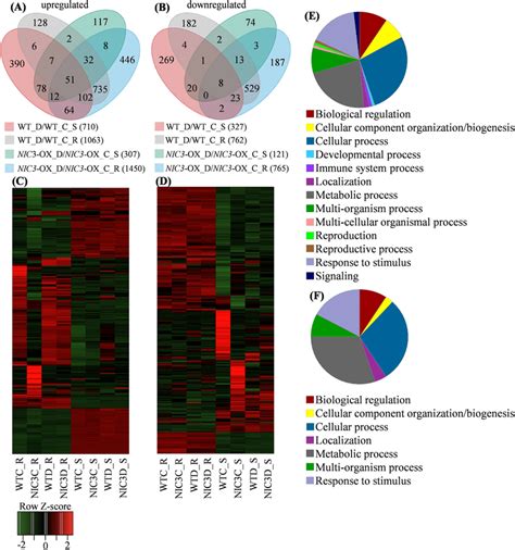 Transcriptome Analysis Of Nic3 Ox Vs Wt Root And Shoot Tissue Under