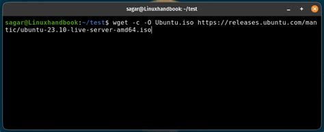 Wget Command In Linux [8 Practical Examples]
