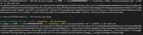 sap commissions jwt authentication sap blogs