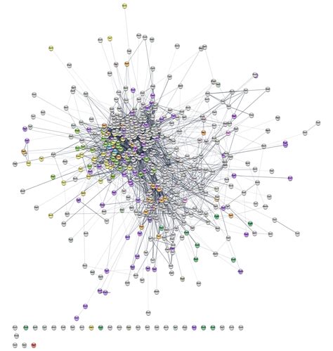 Cytoscape Stringapp