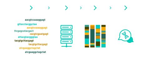 Metagenomic Data Analysis Allgenetics