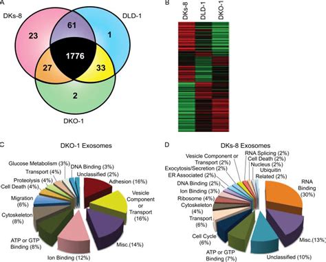 Proteomic Analysis Of Exosomes A Venn Diagram Representing The