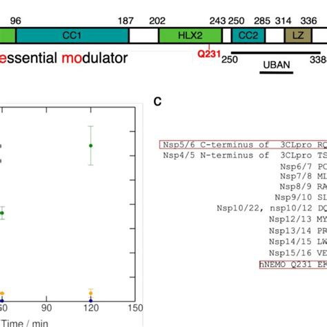 Truncated Nf κb Essential Modulator Nemo Is Cleaved By 3clpro In
