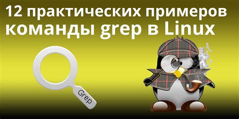 12 практических примеров команды grep в linux Блог Университета sedicomm