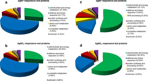 Functional Categorization Of The Differently Abundant Proteins In Roots