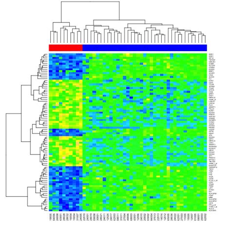 r colsidecolors in heatmap made bye ggplot2 stack overflow