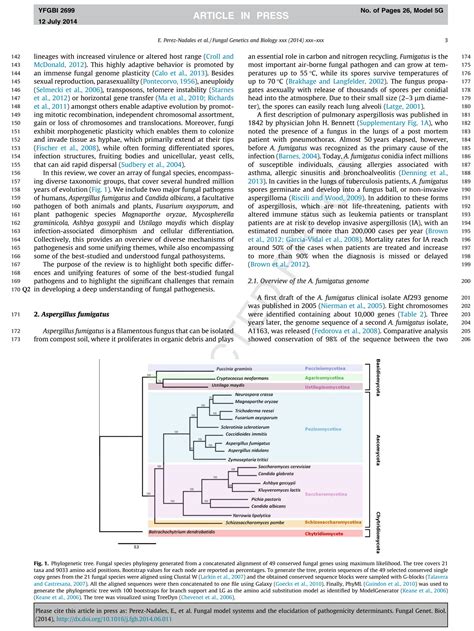 Solution Fungal Model Systems And The Elucidation Of Pathogenicity