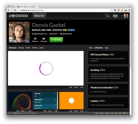 custom profiles codepen blog