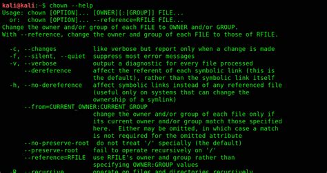 the 22 most basic commands of kali linux