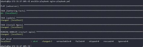 spaventoso recluta confront ansible run command on localhost