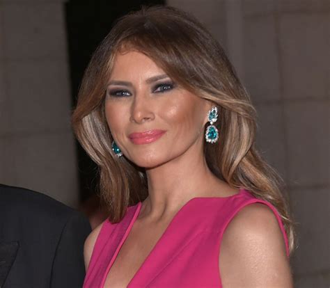 La Millonaria Demanda De Melania Porque La Llamaron “escort” El Diario Ny