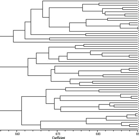 Dendrogram Of 60 Isolates Of Xanthomonas Oryzae Pv Oryzae Based On