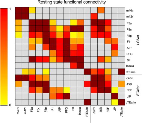 Correlation Matrix Showing The Functional Connectivity Group Analysis