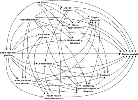 Directed Acyclic Graph Dag Showing Assumed Causal Associations