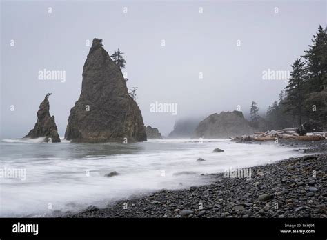 Sea Stacks At Rialto Beach Olympic National Park Washington Stock