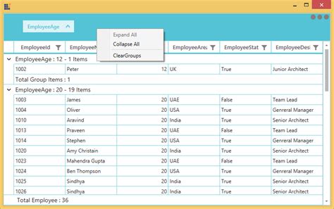 interactive features in wpf datagrid control syncfusion riset