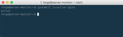 writing your own checks laravel server monitor